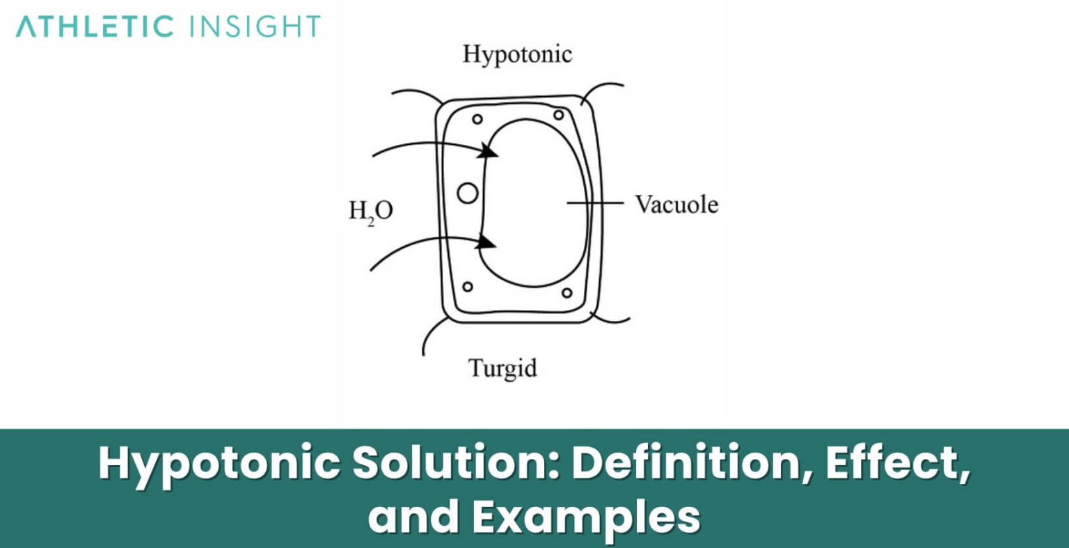 Hypotonic Solution: Definition, Effect, and Examples - Athletic Insight