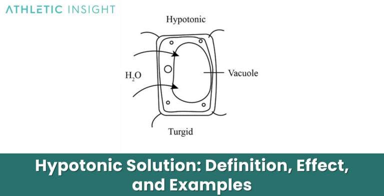 Hypotonic Solution: Definition, Effect, and Examples - Athletic Insight