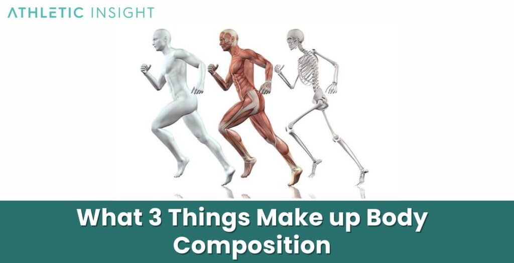 What Is Body Composition? Importance, and How to Measure - Athletic Insight