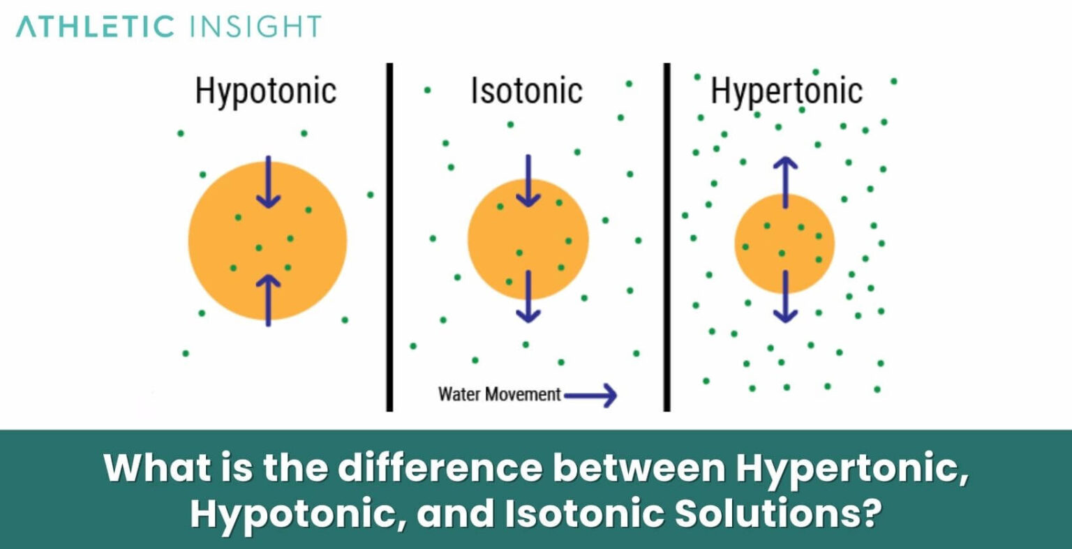 Hypertonic Solution: Definition, How it Works, Importance, and Benefits ...