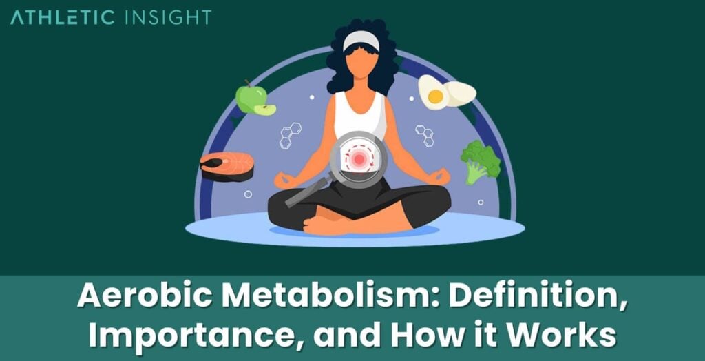 Aerobic Metabolism: Definition, Importance, and How it Works - Athletic Insight
