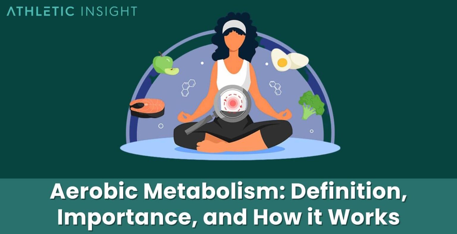 Aerobic Metabolism: Definition, Importance, and How it Works - Athletic ...