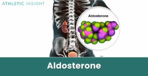 Aldosterone: A Comprehensive Look at Its Definition, Function, and ...
