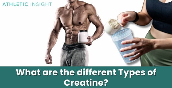 Creatine: What is it, Importance, Purpose, Uses, and Benefits ...