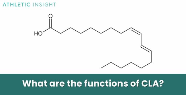 What is CLA?: Definition, Benefits, and Risk - Athletic Insight