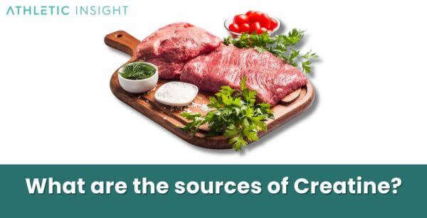 Creatine: What is it, Importance, Purpose, Uses, and Benefits ...