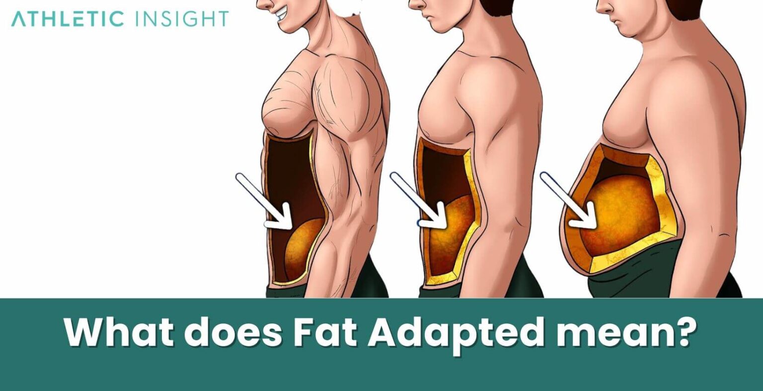 Fat Adapted What Is Fat Adaption Athletic Insight
