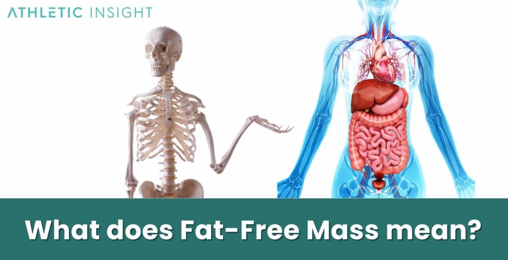 Fat-Free Mass: Definition, Importance, and How to Calculate - Athletic ...