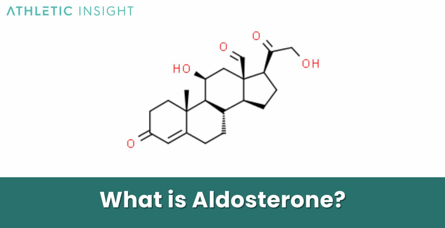 Aldosterone: A Comprehensive Look at Its Definition, Function, and ...