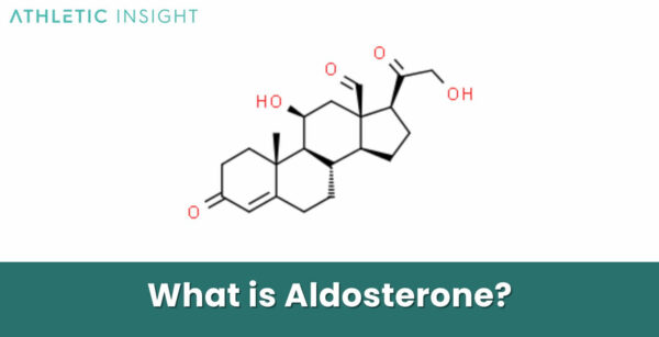 Aldosterone: A Comprehensive Look at Its Definition, Function, and ...