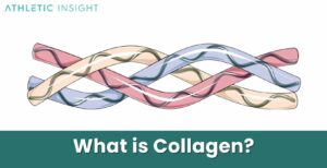 Collagen: Definition, Importance, Types, and Benefits - Athletic Insight