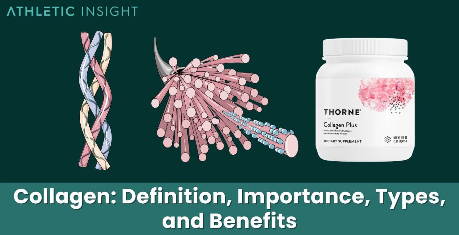 Collagen: Definition, Importance, Types, and Benefits - Athletic Insight