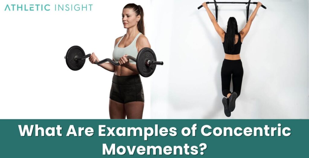 Concentric Phase: Definition, Importance, Examples, and Benefits ...