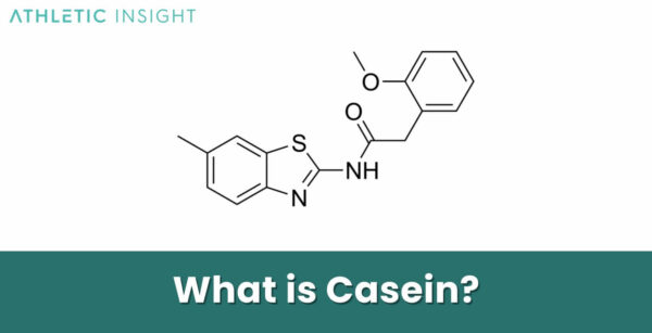 Casein: What is it, Importance, Uses, Benefits, and Side Effects ...