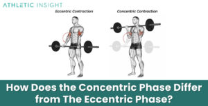 Concentric Phase: Definition, Importance, Examples, and Benefits ...