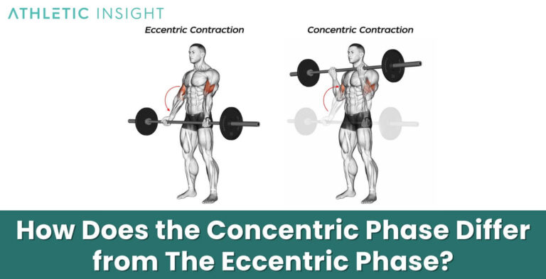 Concentric Phase: Definition, Importance, Examples, and Benefits ...