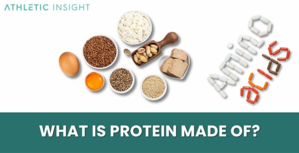 Proteins: Definition, Importance, How it Works, Benefits, and Risks ...