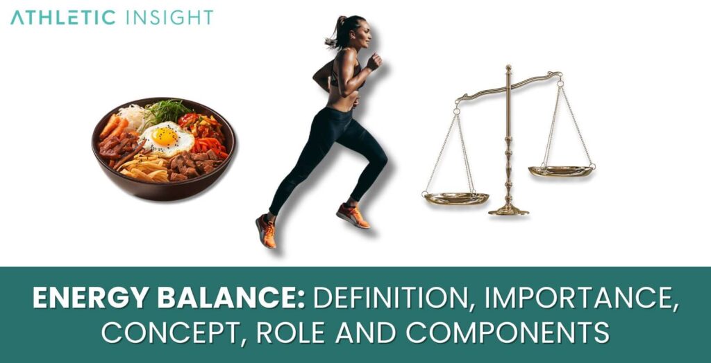 Energy Balance: Definition, Importance, Concept, Role and Components ...