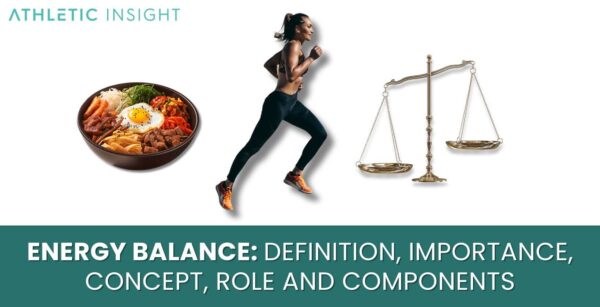 Energy Balance: Definition, Importance, Concept, Role and Components ...