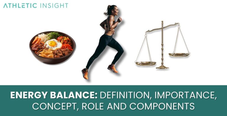 Energy Balance: Definition, Importance, Concept, Role and Components ...