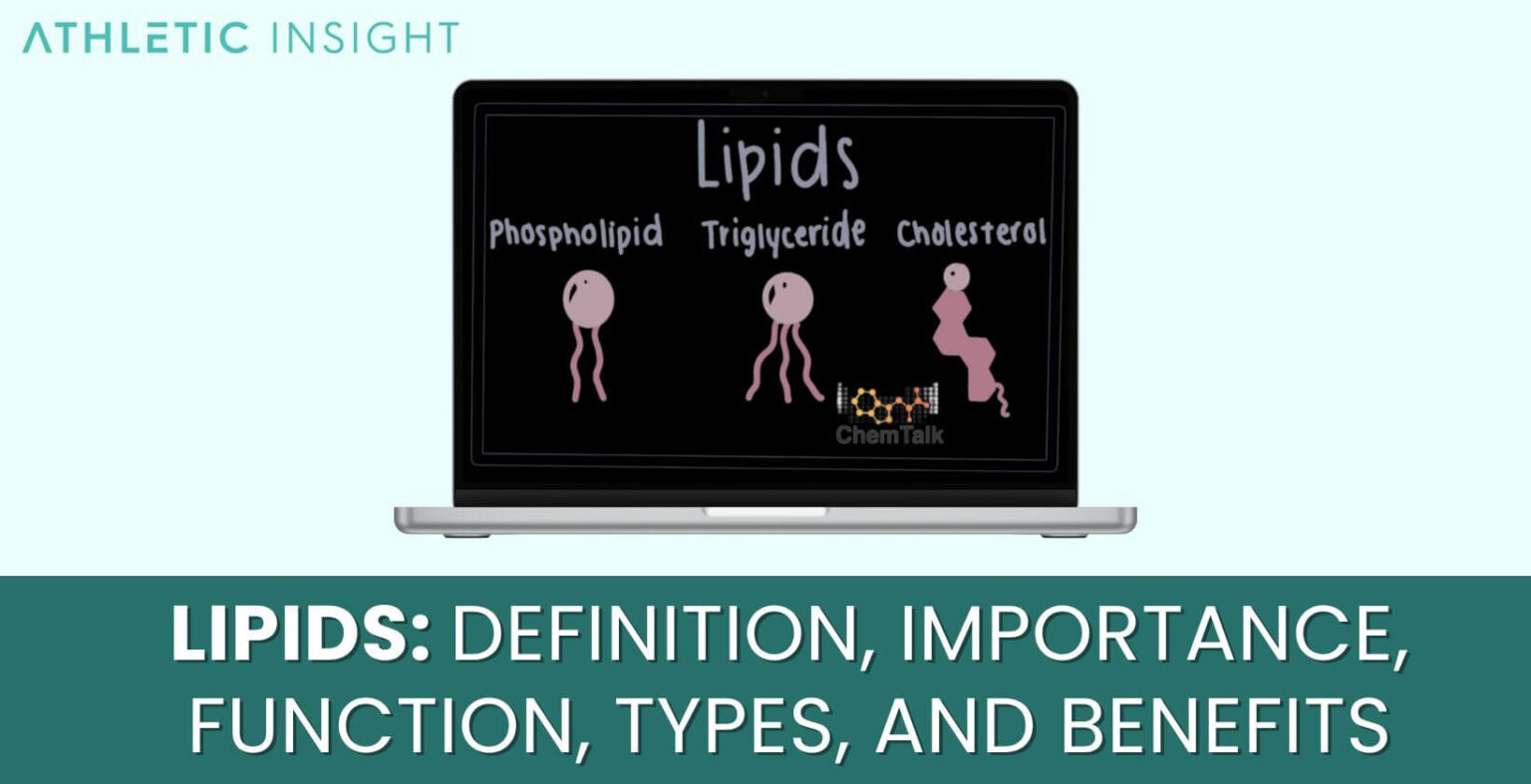 Lipids: Definition, Importance, Function, Types, and Benefits ...