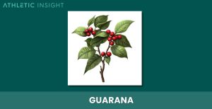 Guarana: Benefits, Side Effects, Sources, Culture and Scientific ...